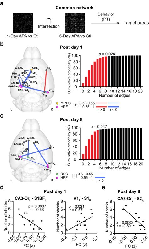 集智斑图 用知识连接探索者