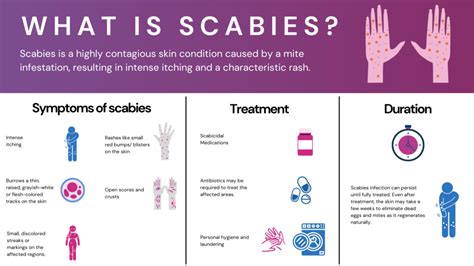 Scabies Causes Symptoms And Treatment Derma Pk