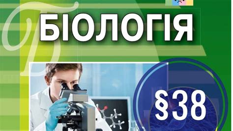 §38 Головний мозок людини передній мозок Youtube