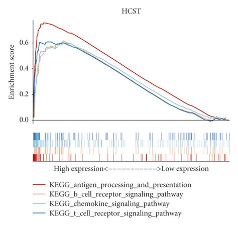 Antigen Processing And Presentation The Chemokine Signaling Pathway B Download Scientific
