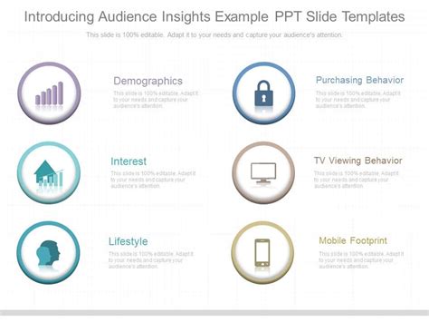 Introducing Audience Insights Example Ppt Slide Templates