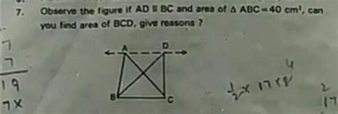 With Explanation For 1 Mark Question Brainly In
