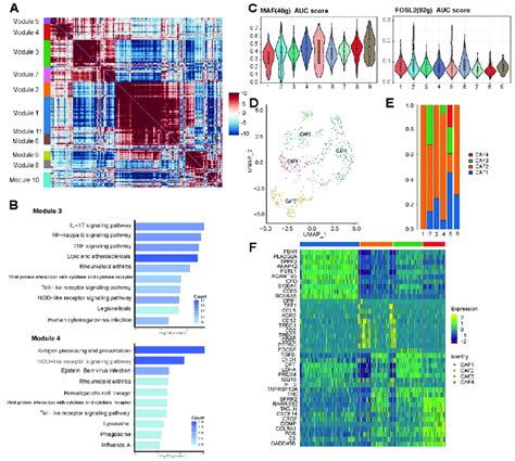 Transcriptome Characteristics Of Macrophage Subclusters A Gene