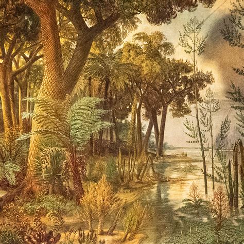 What Was The Carboniferous Period Like