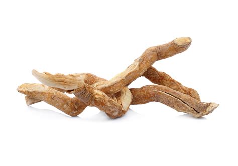 Premium Photo Eurycoma Lonolia On White Background