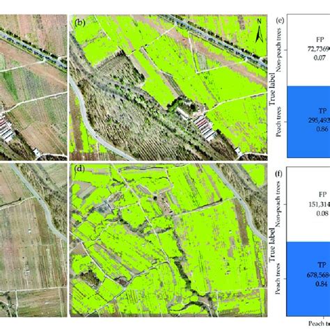 The Spatial Distribution Of Projected Peach Trees In Cultivated Land Download Scientific