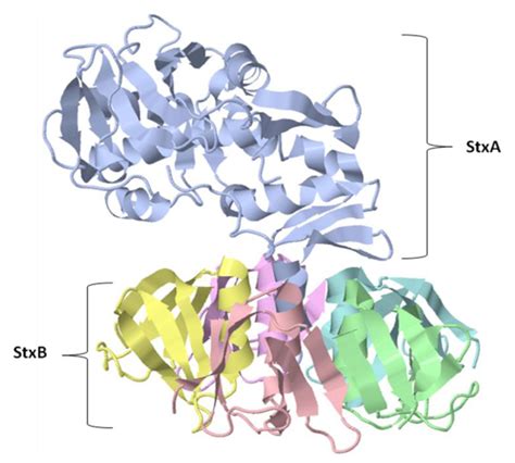 Toxins Special Issue Enterotoxins