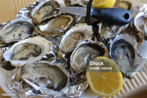 레몬 뷔페 식사 프랑스 문화와 트레이에 배치 굴을 엽니 다 갑각류에 대한 스톡 사진 및 기타 이미지 갑각류 건강한 생활방식 건강한 식생활 Istock