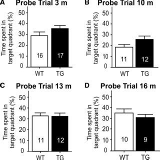 Memory Performance In Probe Trials Across Age Memory Recall Performance Download Scientific