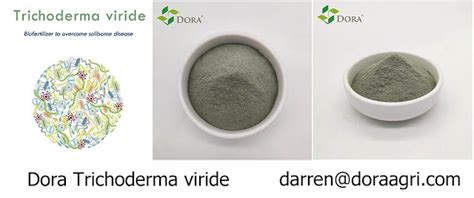 Trichoderma Viride Biopesticide Application In Agriculture