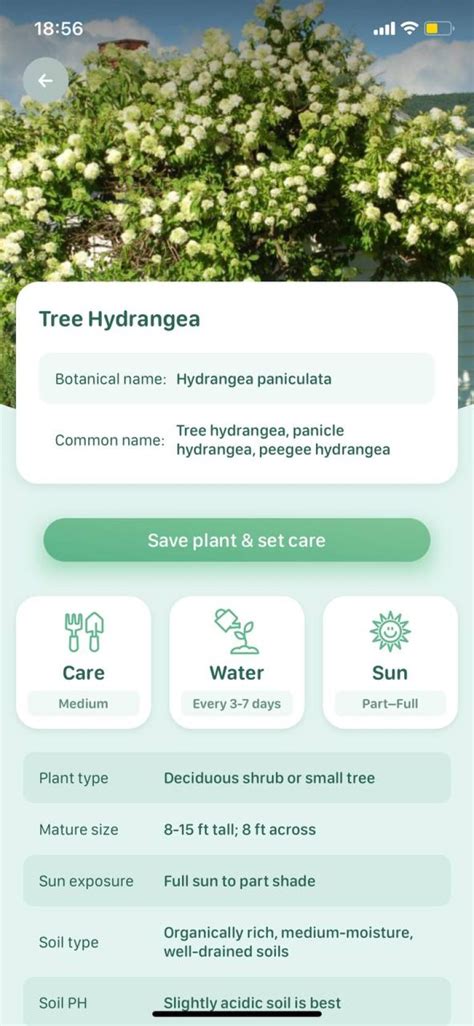 8 Free Tree Identification Apps For Android And Ios Freeappsforme Free Apps For Android And Ios