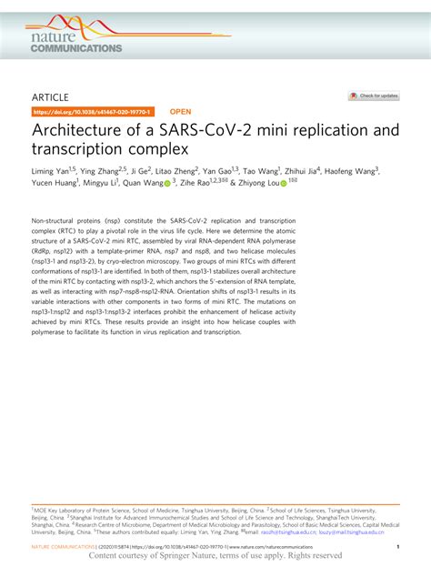 Pdf Architecture Of A Sars Cov 2 Mini Replication And Transcription Complex