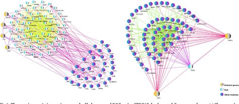 Figure 9 From Integrative Systems Biology Analysis Of Barley