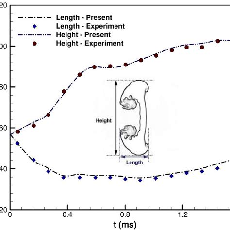 Comparison Of Flow Morphology Evolution Between The Experimental