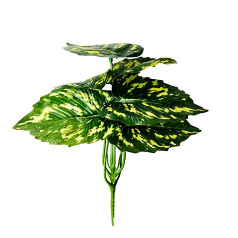 خرید آنلاین و قیمت ماکت تزیینی آکواریوم مدل خانه اختاپوس 1403 وکسی