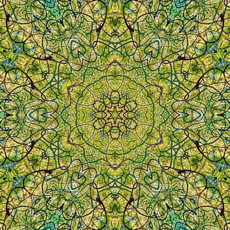 Green Scribble Fractal 1 Etsy