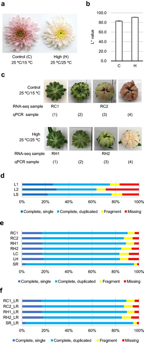 Samples Used For Smrt Seq And Rna Seq And Completeness Of Each Dataset
