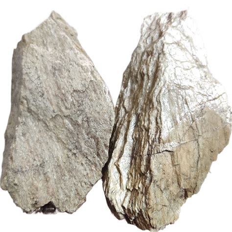 Phyllite Metamorphic Rock
