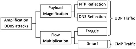 classification of amplification distributed denial of service ddos