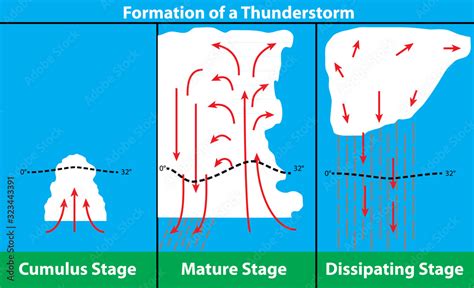 Diagram Of The Formation Of A Thunderstorm Stock Vector Adobe Stock