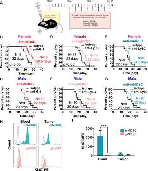 Myeloid Derived Suppressor Cell Subsets Drive Glioblastoma Growth In A Sex Specific Manner Pmc