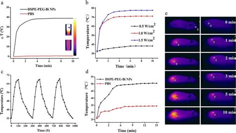 A Photothermal Effect Of Dspe Peg Bi Nps 1 Mgml And The