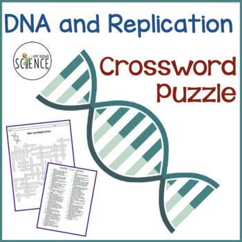 DNA And Replication Crossword Puzzle By Amy Brown Science TpT
