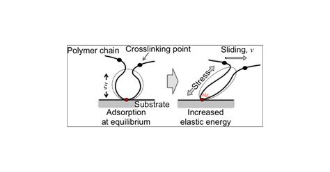 Friction Of Zwitterionic Hydrogel By Dynamic Polymer Adsorption