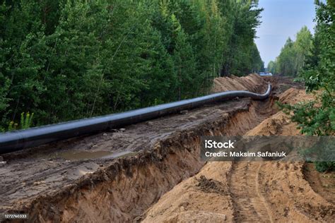천연 가스의 파이프 라인을 누워 지상에 트렌치 산림 지역에 대중 교통 석유 화학 파이프의 건물 희석된 역청과 원유를 국제 시장에 운반 0명에 대한 스톡 사진 및 기타 이미지