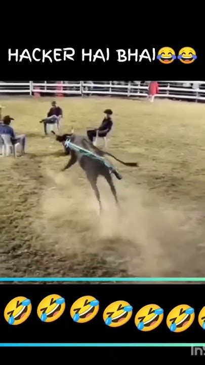 Hacker Hai Bhai🤣🤣🤣🤣shorts Freefire Youtube