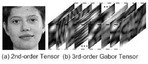 tensor representation examples 2nd and 3rd order object