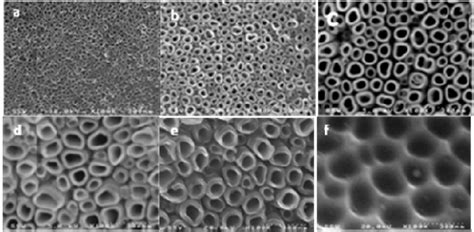 Scanning Electron Micrographs Of The Synthesized Titania Nano Tube