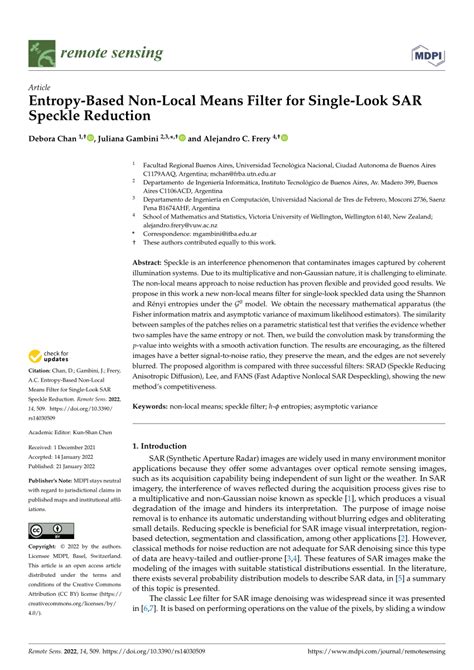 Pdf Entropy Based Non Local Means Filter For Single Look Sar Speckle