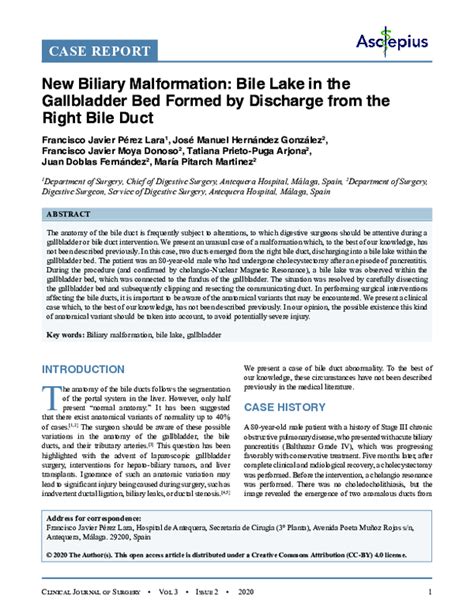 Pdf New Biliary Malformation Bile Lake In The Gallbladder Bed Formed