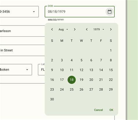 Date Pickers Material Design 3