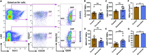 No Alteration In Lineage Committed Hematopoietic Progenitors Following Download Scientific