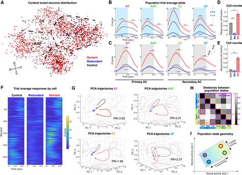 Slow Cortical Dynamics Generate Context Processing And Novelty Detection Neuron