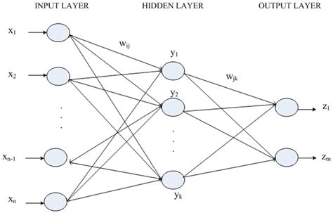 A Typical Multi Layer Network Download Scientific Diagram