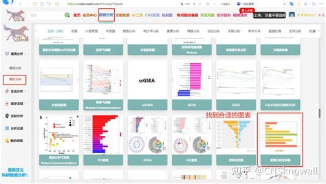 期刊投稿 Sci级《 富集分析柱状图》教程来喽 知乎
