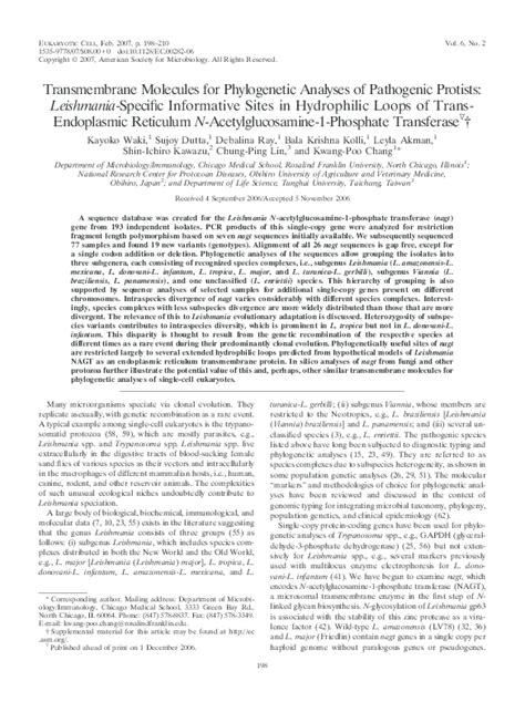 Pdf Transmembrane Molecules For Phylogenetic Analyses Of Pathogenic