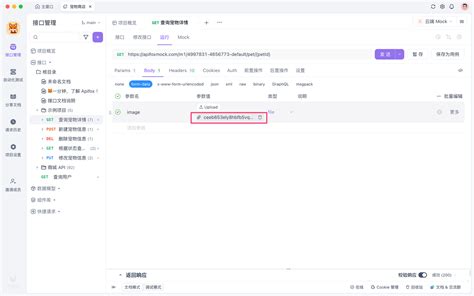 Postman 如何上传图片并在请求中使用