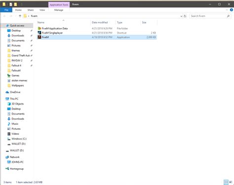 Fivem Application Data