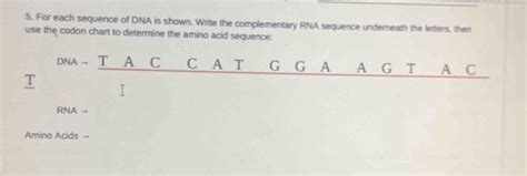 Solved 5 For Each Sequence Of Dna Is Shown Write The Complementary