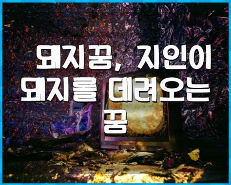 돼지꿈 지인이 돼지를 데려오는 꿈