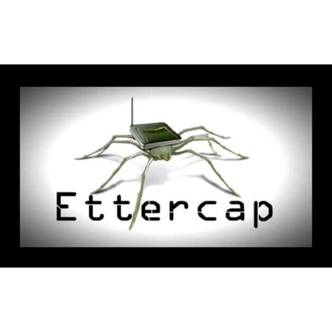 radhika sakharkar on linkedin datainsider datainsiders