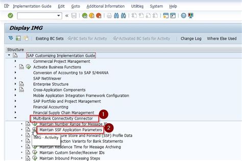 Maintain Ssf Application Parameter