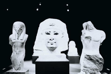 Mummy Exhibit By Waltertherobot On Deviantart