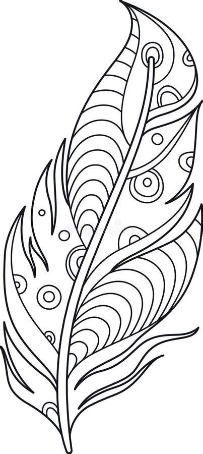 Feather Outline Boho Stock Illustration Illustration Of Vector 299733467