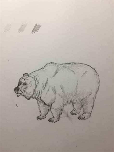 Edgar The Bear Artwork