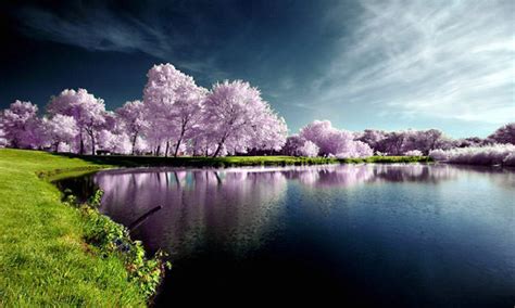 [b 写真] 25 Breathtaking Examples Of Nature Photography